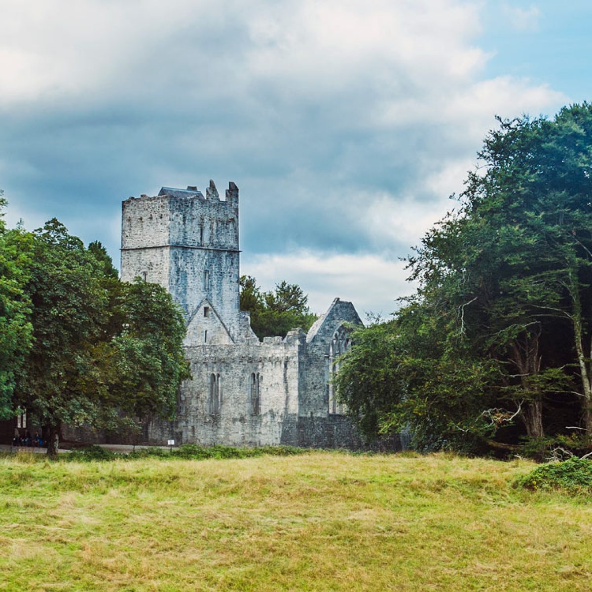 Muckross Abbey Killarney | Coolclogher House